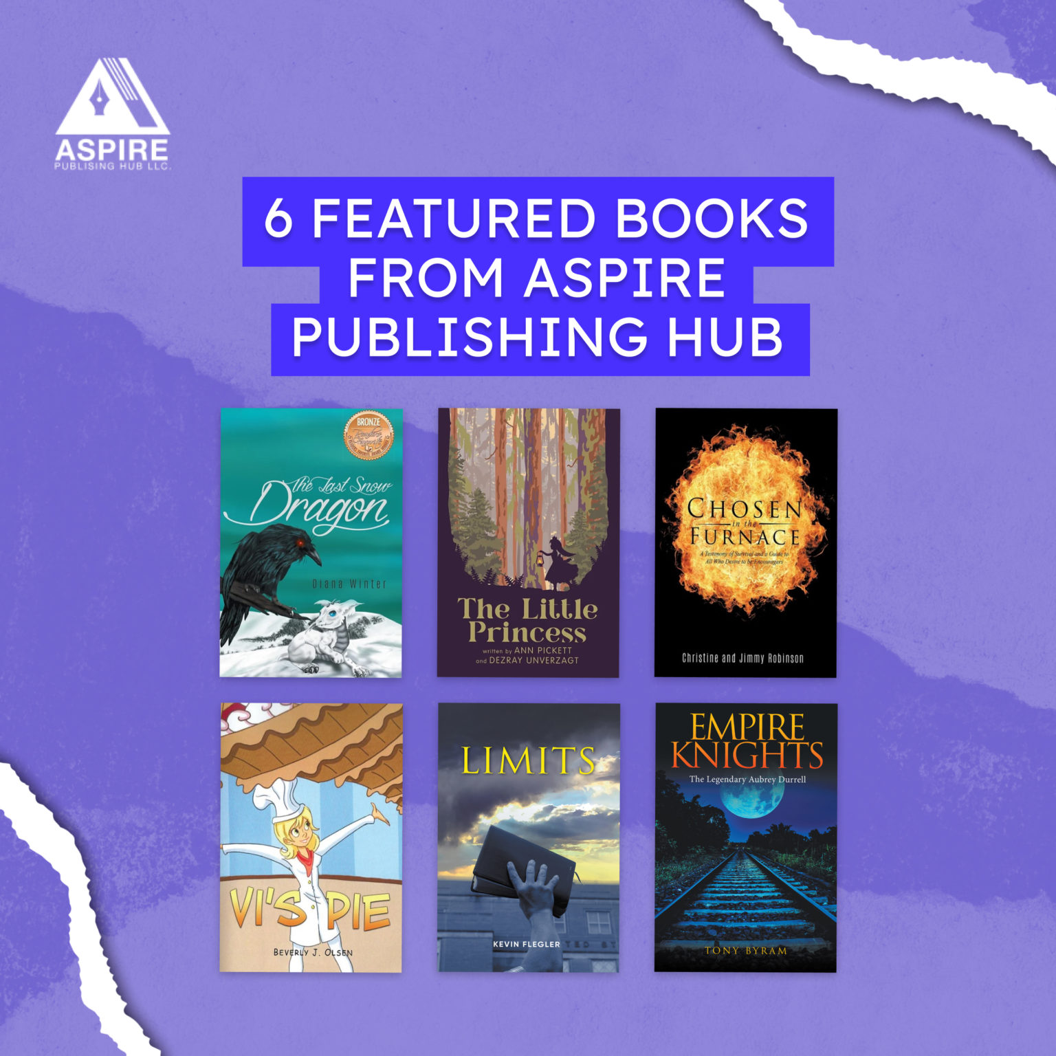 6 FEATURED BOOKS FROM ASPIRE PUBLISHING HUB – Aspire Publishing Hub, LLC