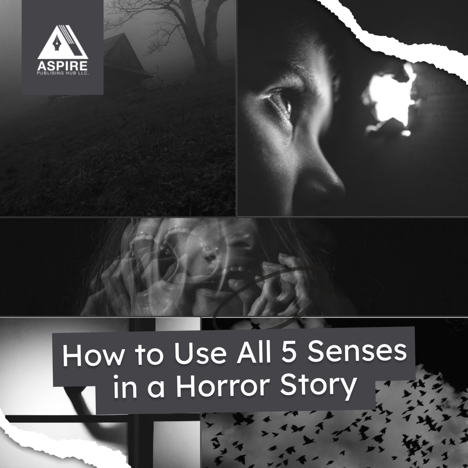How to Use All 5 Senses in a Horror Story – Aspire Publishing Hub, LLC